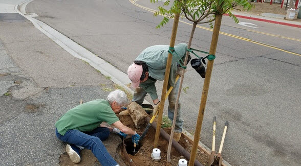 How do things get done in Fallbrook? We pitch in and do them ourselves ...
