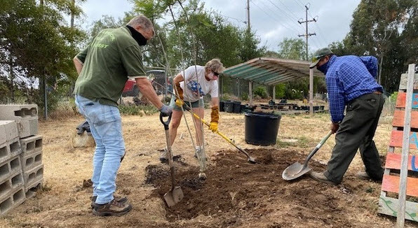 Tree Planting in the Fallbrook Community Garden – Everything Fallbrook .org