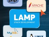 Lamp Stack Development Services Company