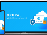 Drupal Website Development Drupal Web Development Company Evolfinity