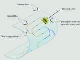 Exploring The Potential Of Electronic Skin Advantages And Applications