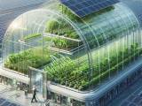 Smart Greenhouses Advancements In Sustainable Farming
