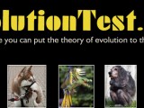 Test The Theory Of Evolution