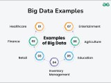 Database Application Examples Across Various Industries