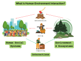 Human Environment Interaction Examples Explained