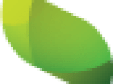 Sencha Examples