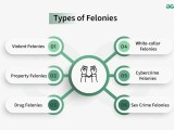 Misdemeanor Vs Felony Examples Key Differences Explained