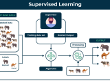 What Is Supervised Learning Key Examples Explained