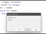 Using Integer Data Type In Vba
