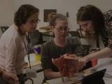 Anatomical Cadaver Dissection Experience Anatomy
