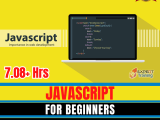 Javascript For Beginners Expert Training