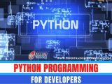 Python Programming For Developers Expert Training