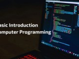 Basic Introduction Computer Programming Expert Royal