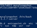 Essential Docker Cli Commands Experienced Knowledge