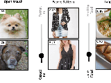 Explain In Diffusion Explaining A Classifier Through Hierarchical