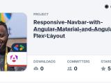 Responsive Navbar With Angular Material And Angular Flex Layout