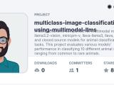 Multiclass Image Classification Using Multimodal Llms Ecosystem