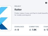 Flutter Ecosystem Directory Market Dev