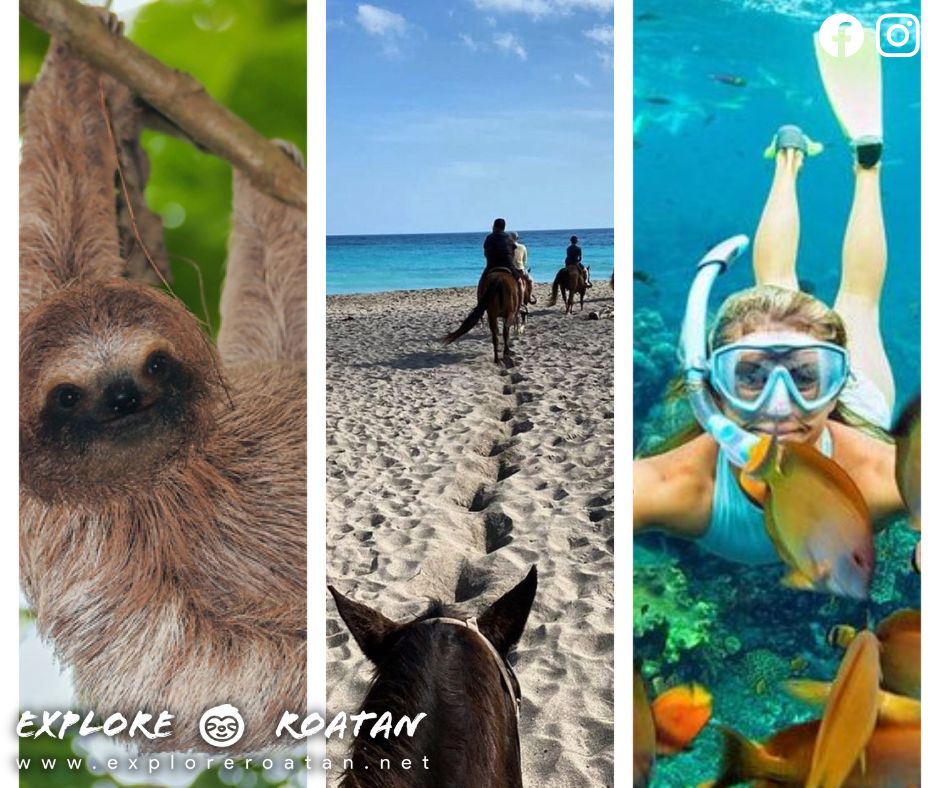 Explore Roatan | Home