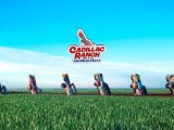 Things To Do In Amarillo Texas Explore Texas