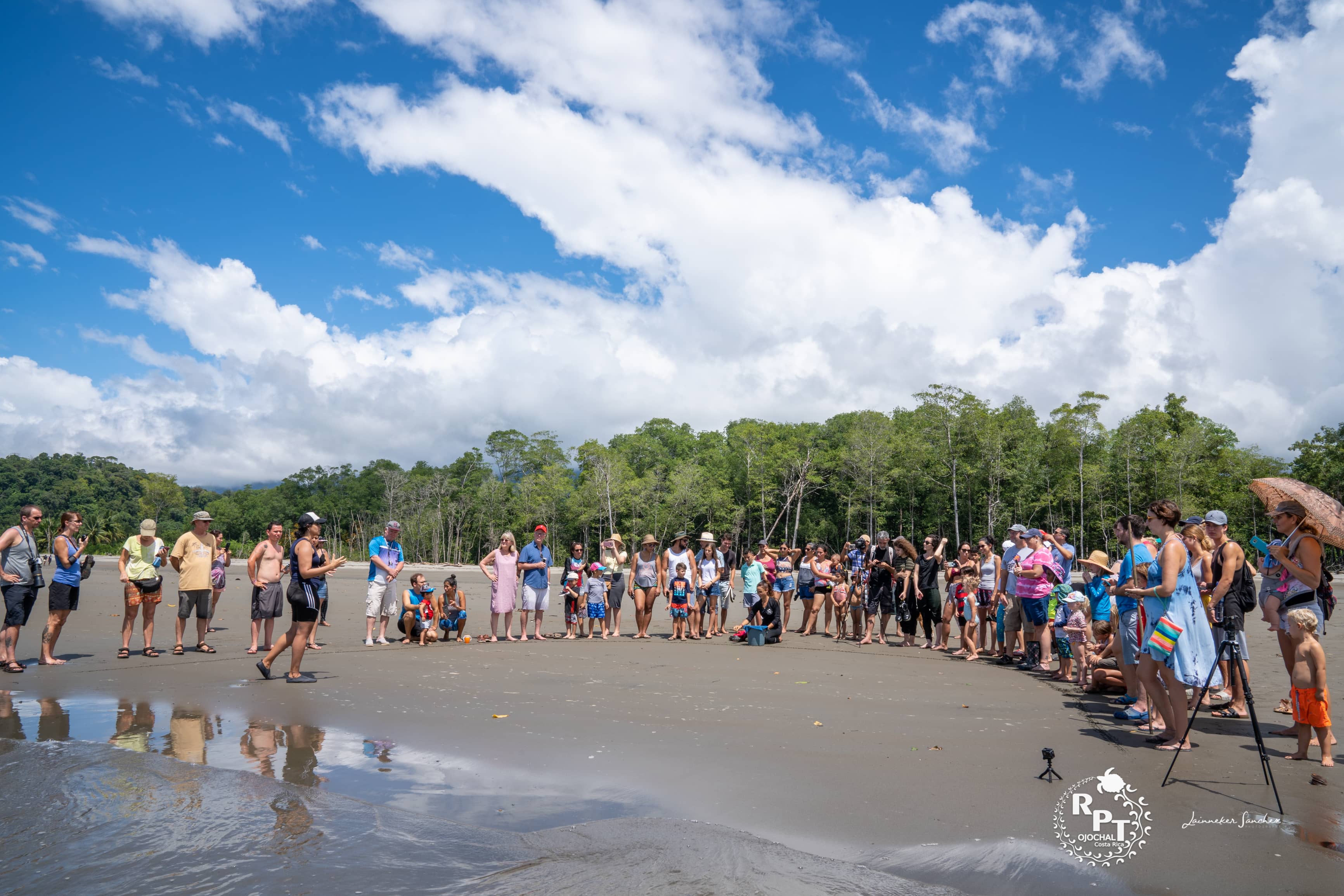 Turtle Reserve – Explore Uvita