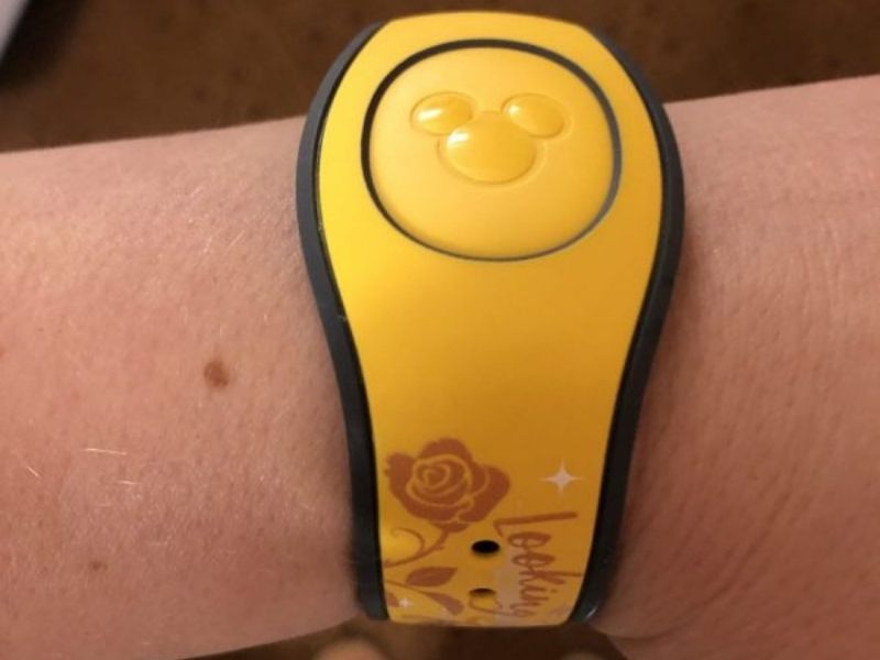 New Character MagicBands For Walt Disney World Packages