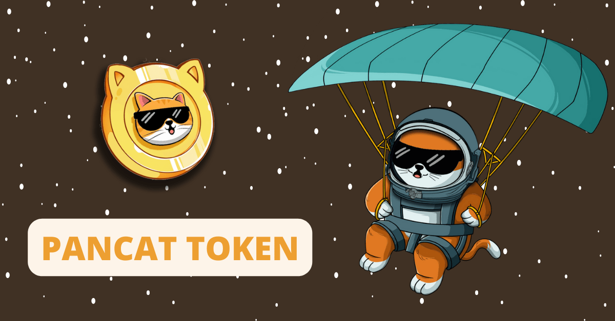 Introduction To PANCAT Cryptocurrency - Exploring Digital Assets