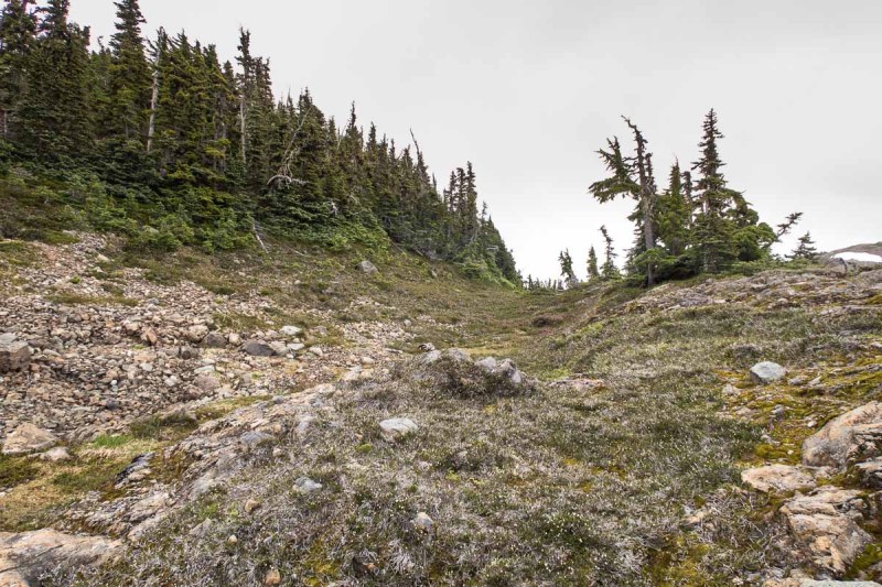 Rodgers Ridge: An Easy Alpine Ramble - Explorington