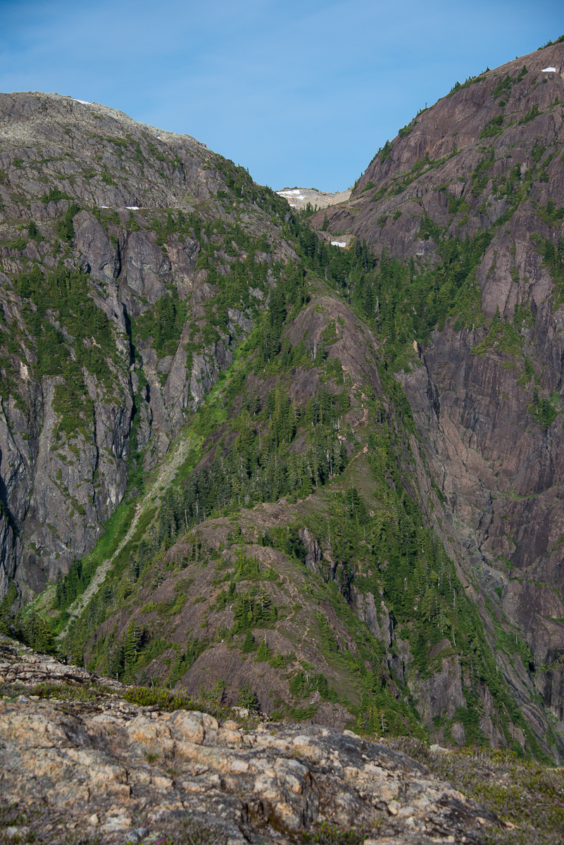 Comox Glacier: A Great Day Hike - Explorington
