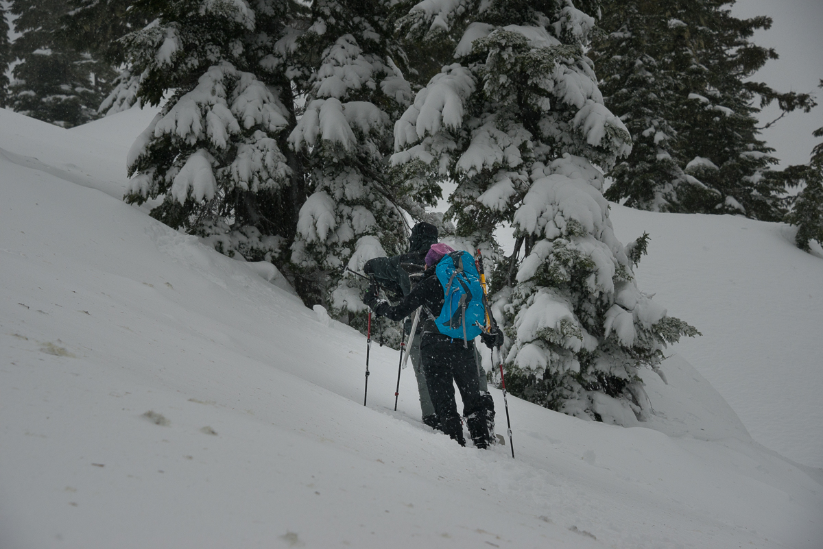 Mt Grey, another in a growing list of failed summit attempts - Explorington