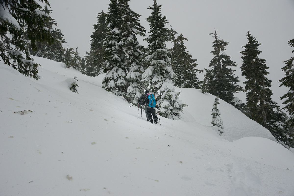 Mt Grey, another in a growing list of failed summit attempts - Explorington