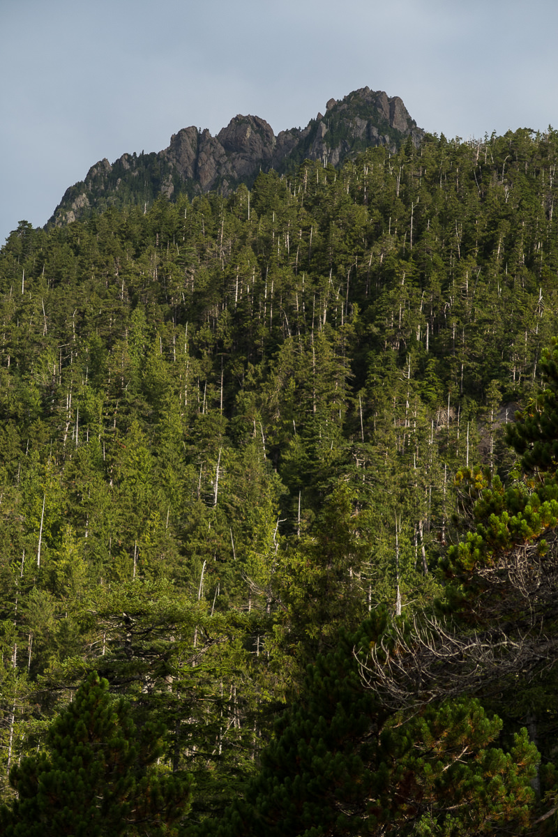 Maitland Range Exploration: a day in the bush - Explorington