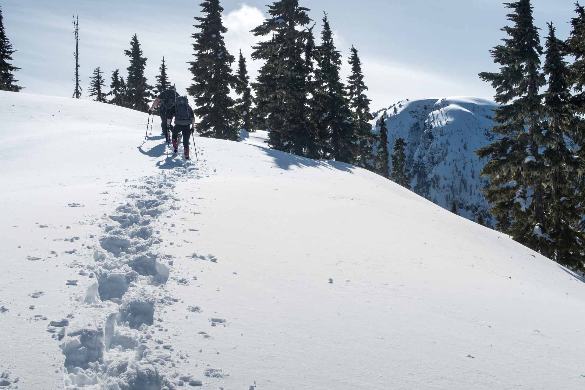 Tyee Mountain - Explorington