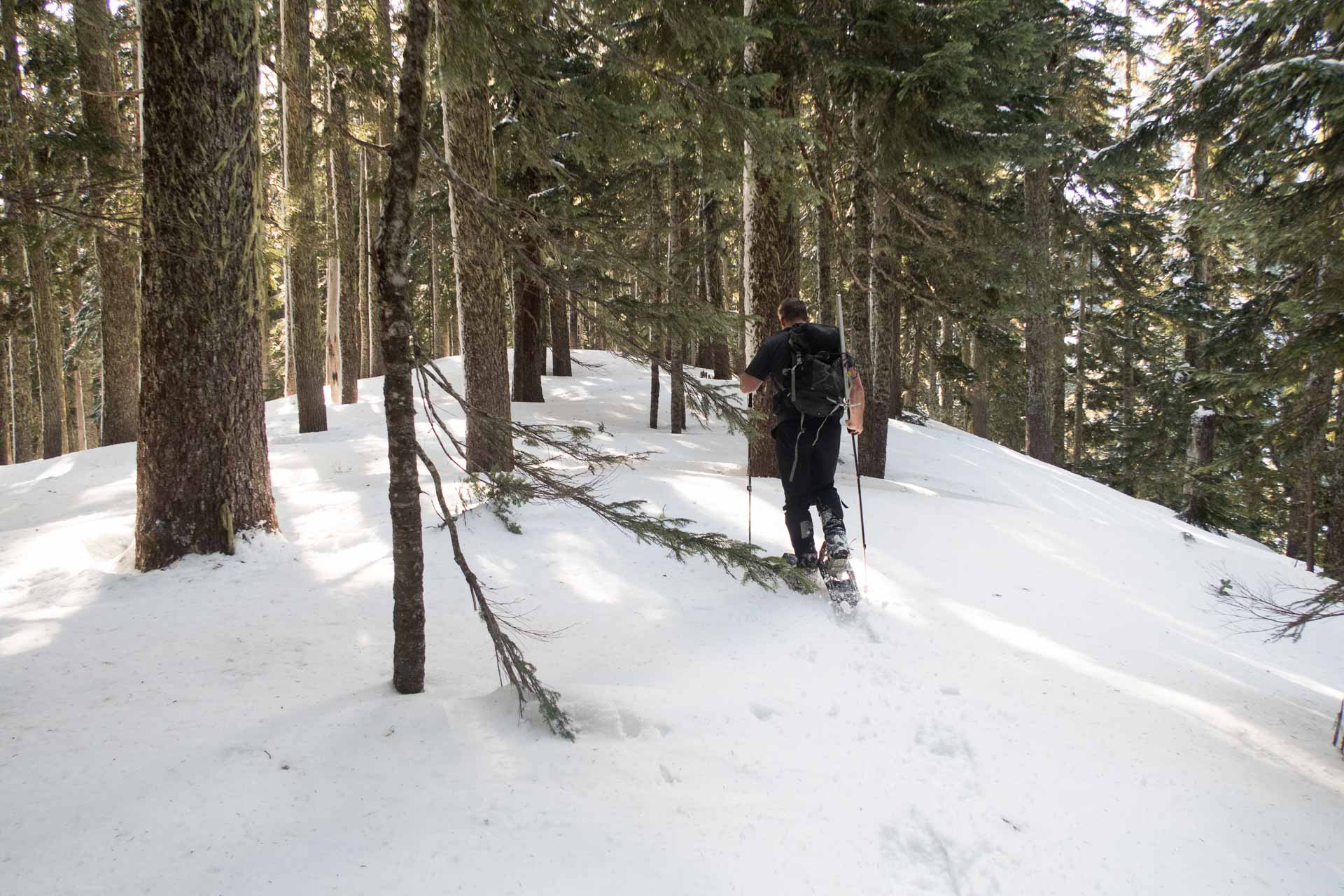 Tyee Mountain - Explorington