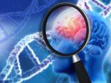 Neuroscience Research Techniques