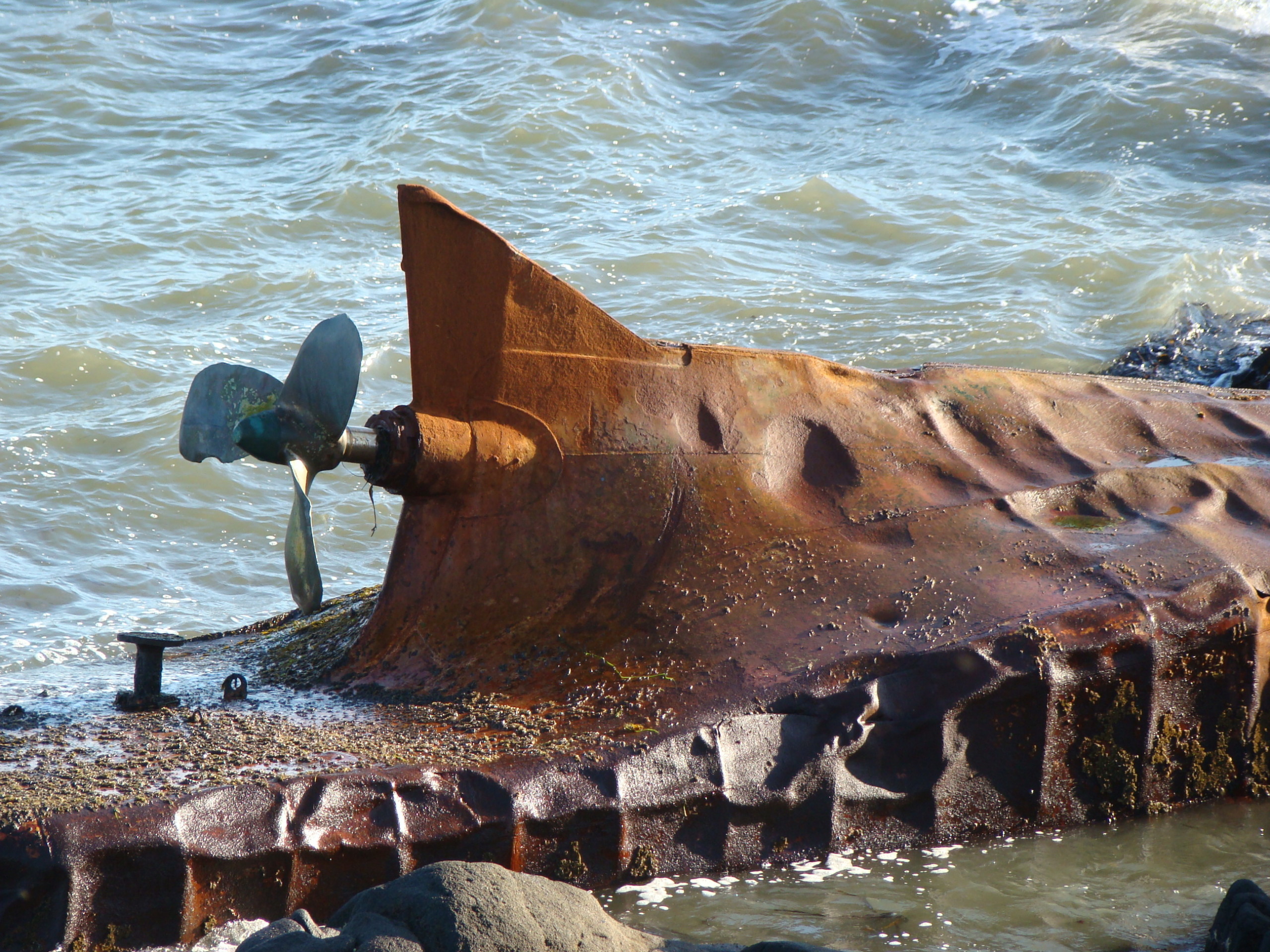 Japan Sinks 2020: Logic sinks – Fnavi – 日本で働く世界の人のための総合情報サイト -エフナビ