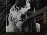 Xxyyxx About You