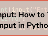 Python Input How To Take User Input In Python