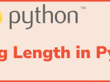 Python Program To Find Length Of A String Face Prep