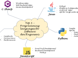Top 5 Programming Languages Every Software Engineer Should Know