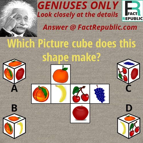 Interesting Puzzles - Page 6 of 6 - Fact Republic