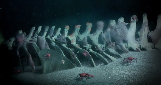 Whale fall | Fact# 7572 | FactRepublic.com