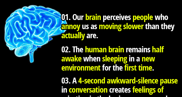 50 Interesting Facts About Human Brain Fact Republic 50-interesting-facts-about-human-brain-fact-republic
