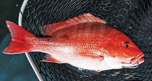 25 Dirty Tactics Businesses Use on Customers - Fact Republic