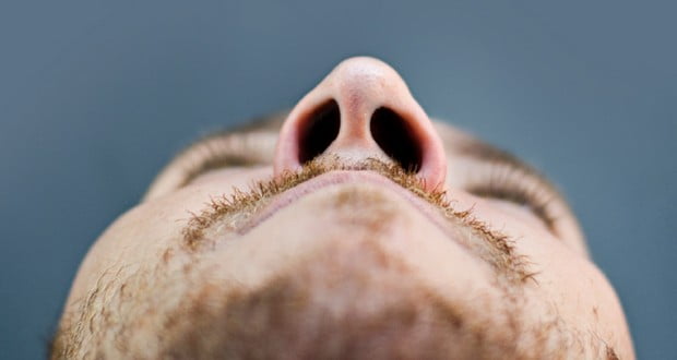 Two nostrils | Fact# 11079 | FactRepublic.com