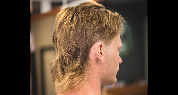 Mullets | Fact# 13148 | FactRepublic.com