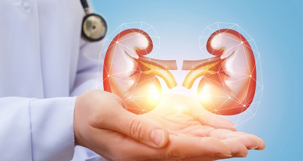 Kidney sale | Fact# 21618 | FactRepublic.com