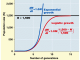 Population Ecology