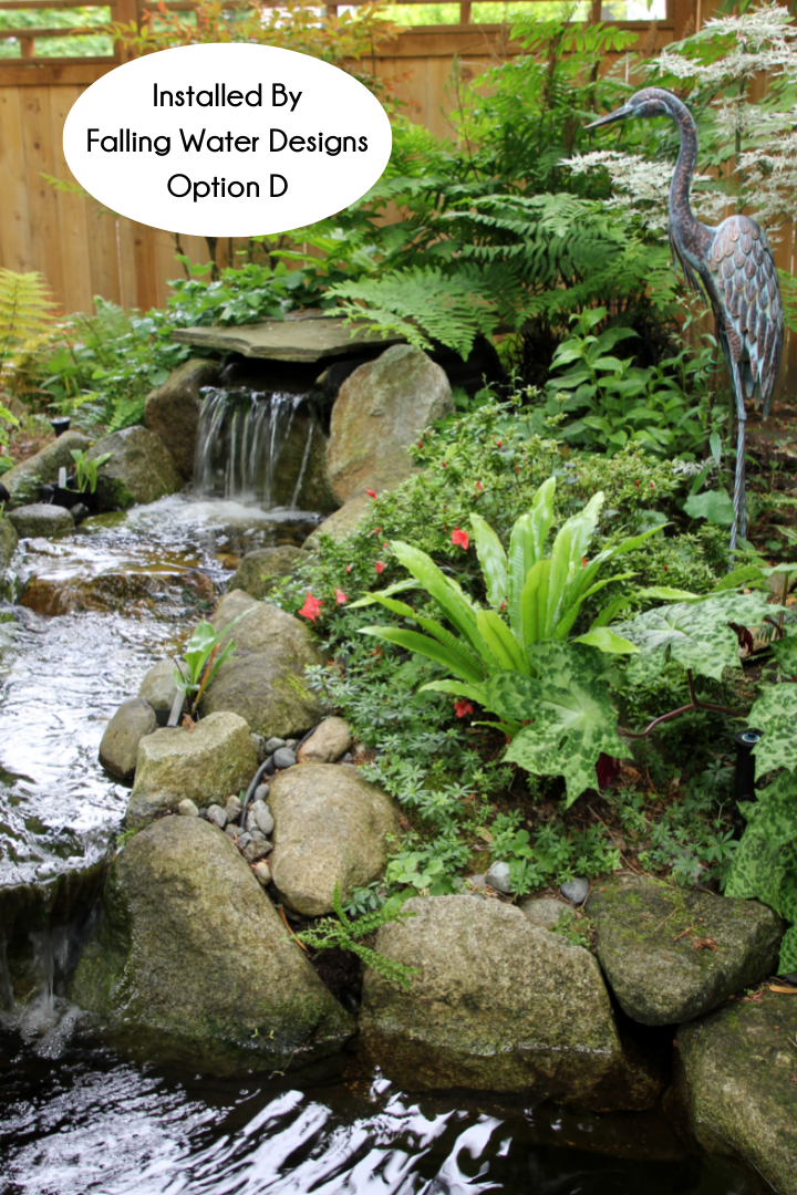 2022 Falling Water Gardens Water Feature Photo Contest - Falling Water ...