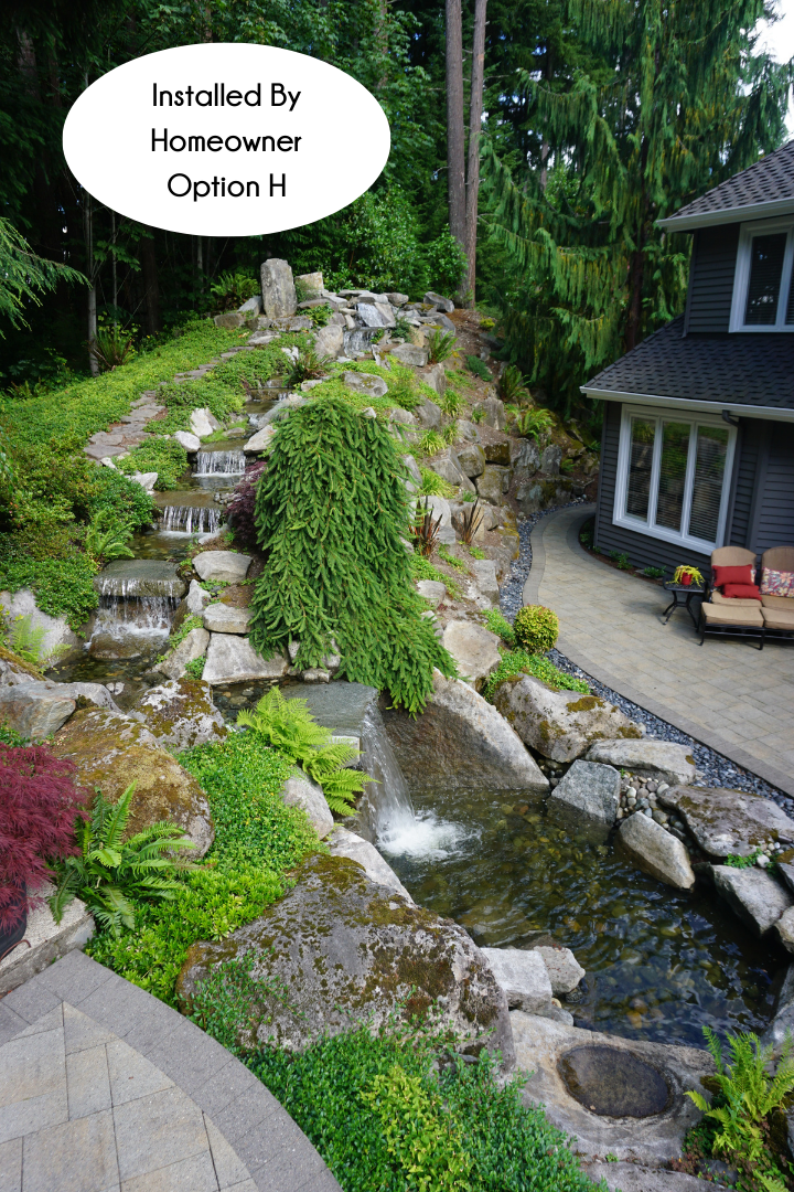 2022 Falling Water Gardens Water Feature Photo Contest - Falling Water ...